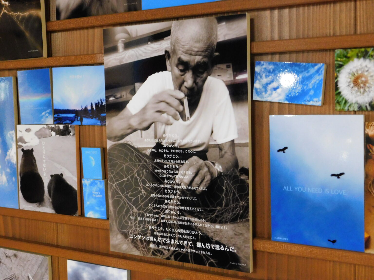 「HOKA HEY＃3」 きょうからスタート | WBS和歌山放送ニュース